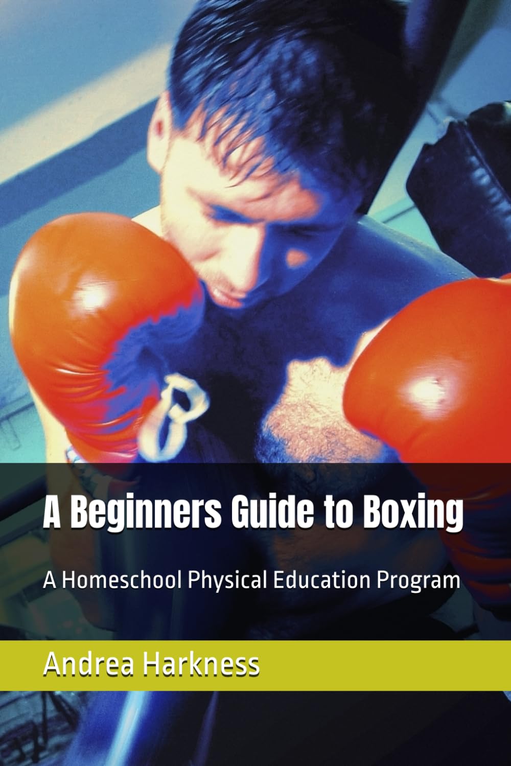 A Beginners Guide to Boxing: A Homeschool Physical Education Program ...