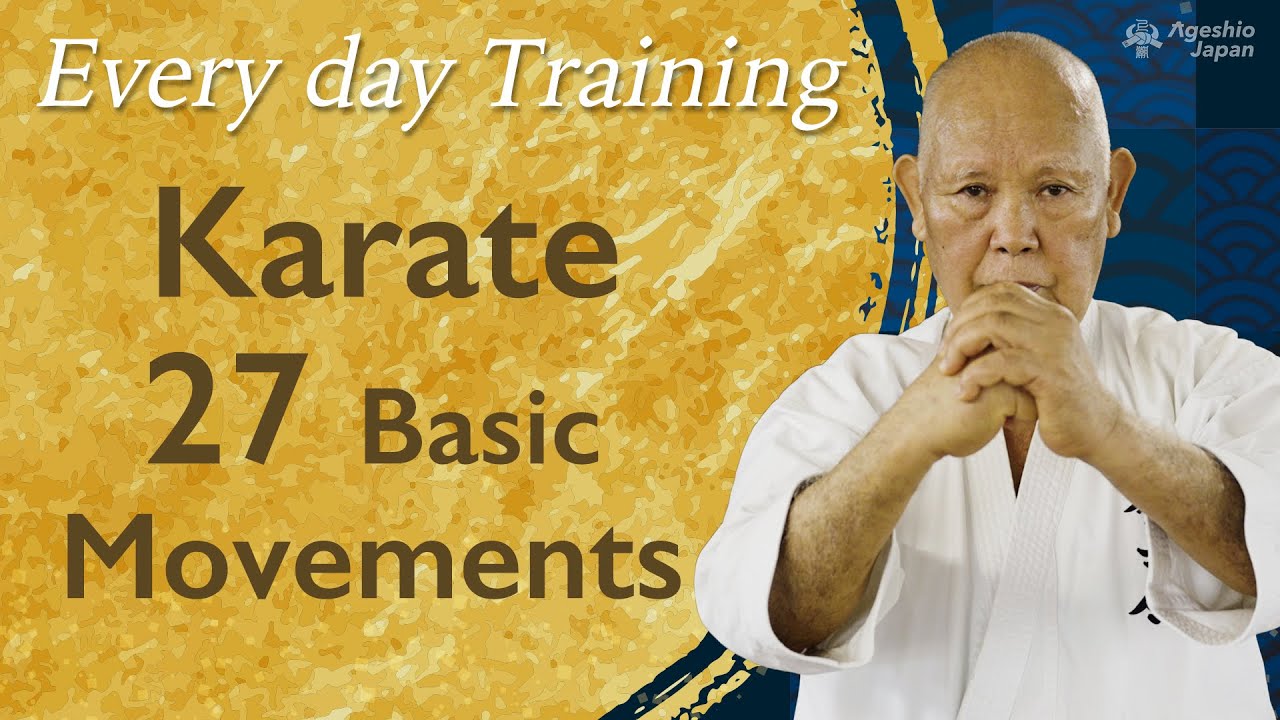Karate 27 Basic Movements | Okinawan Karate | Every day Karate at Home ...