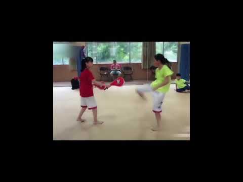 1 Piece Taekwondo Karate Kickboxing Kicking Pad PU Rebound Sponge Hand ...