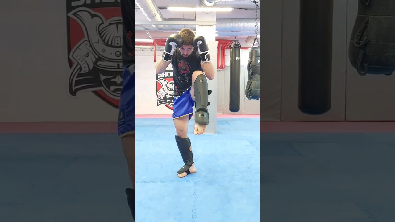 kickboxing workout -how to properly defend against a low kick # ...
